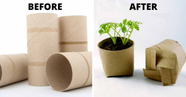 7 Household Items You Didn't Realise You Can Repurpose - Black Box ...